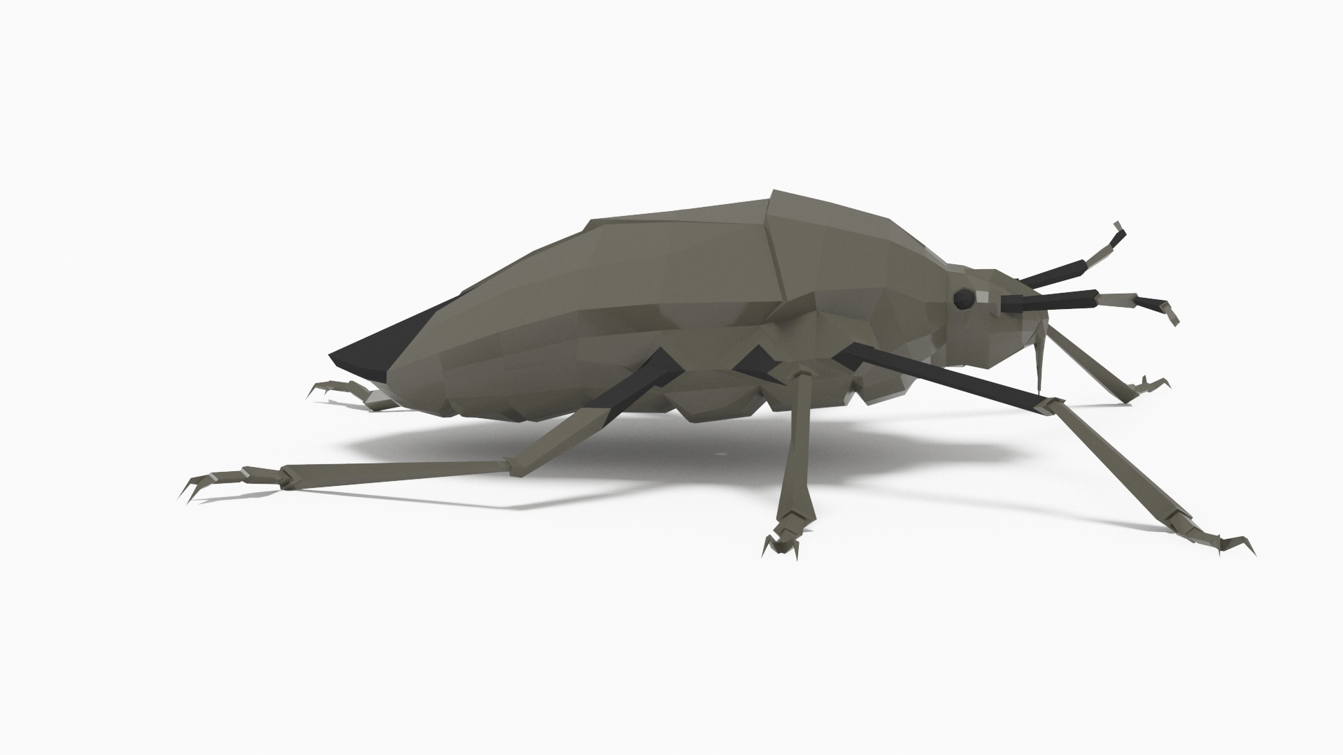 Bug low poly by coc3d | 3DOcean