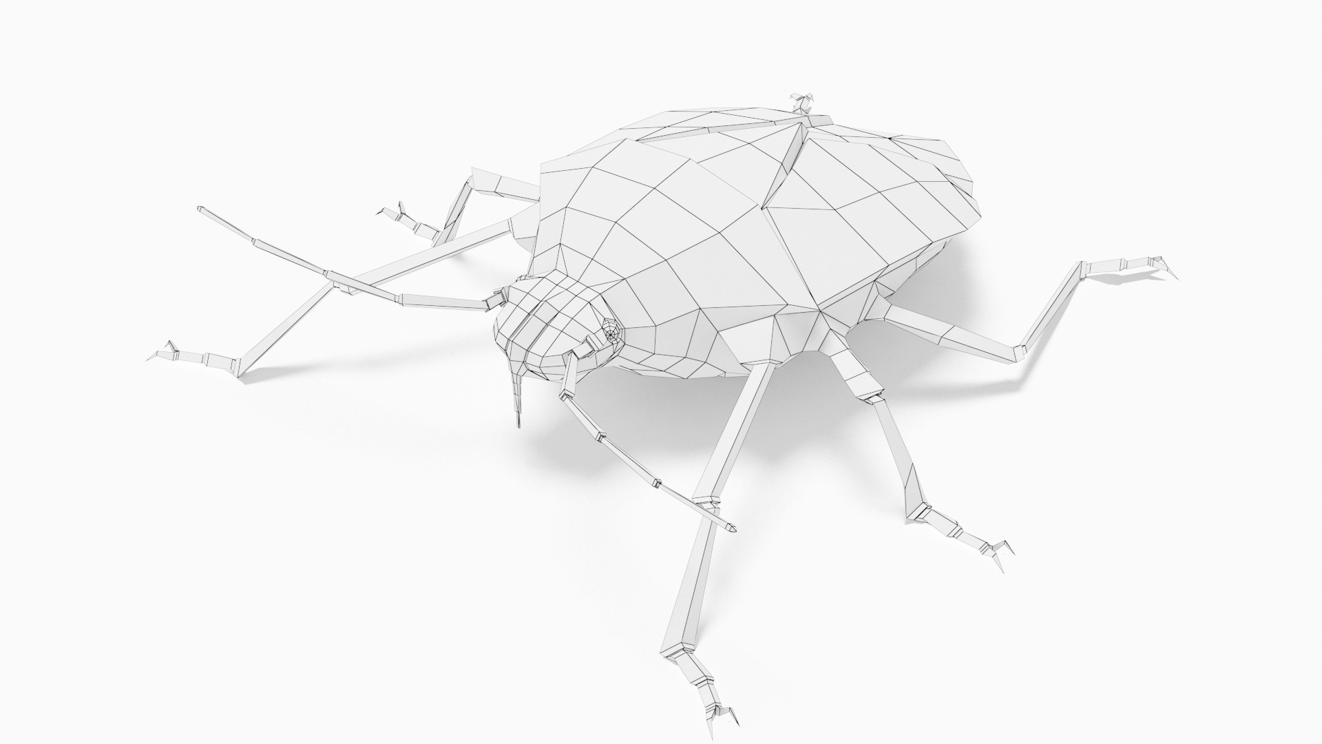Bug low poly by coc3d | 3DOcean