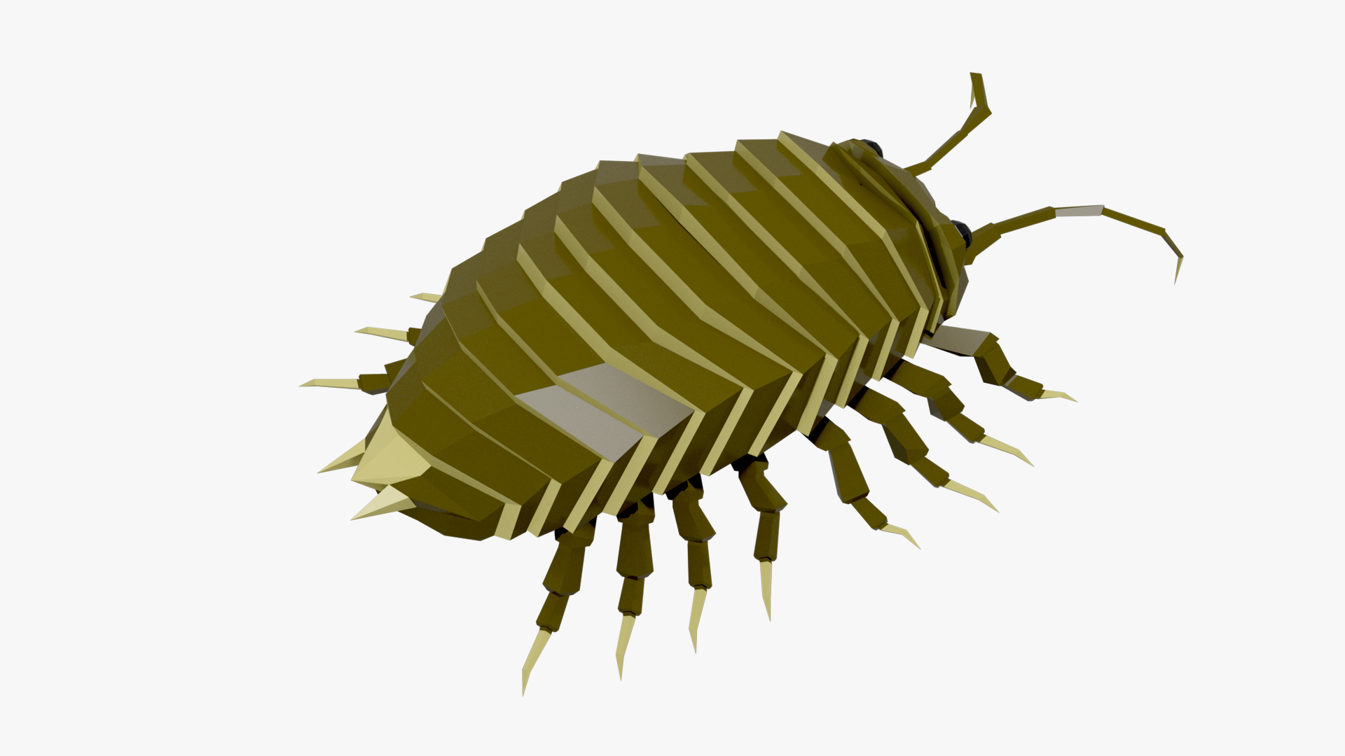 Bug low poly by coc3d | 3DOcean