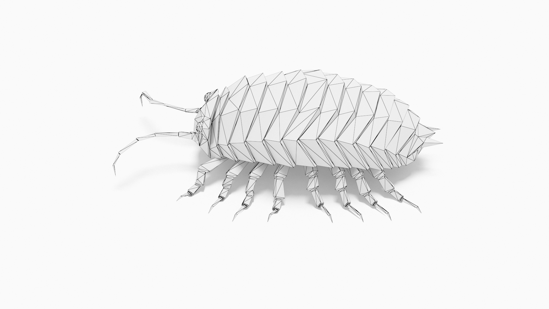 Bug low poly by coc3d | 3DOcean