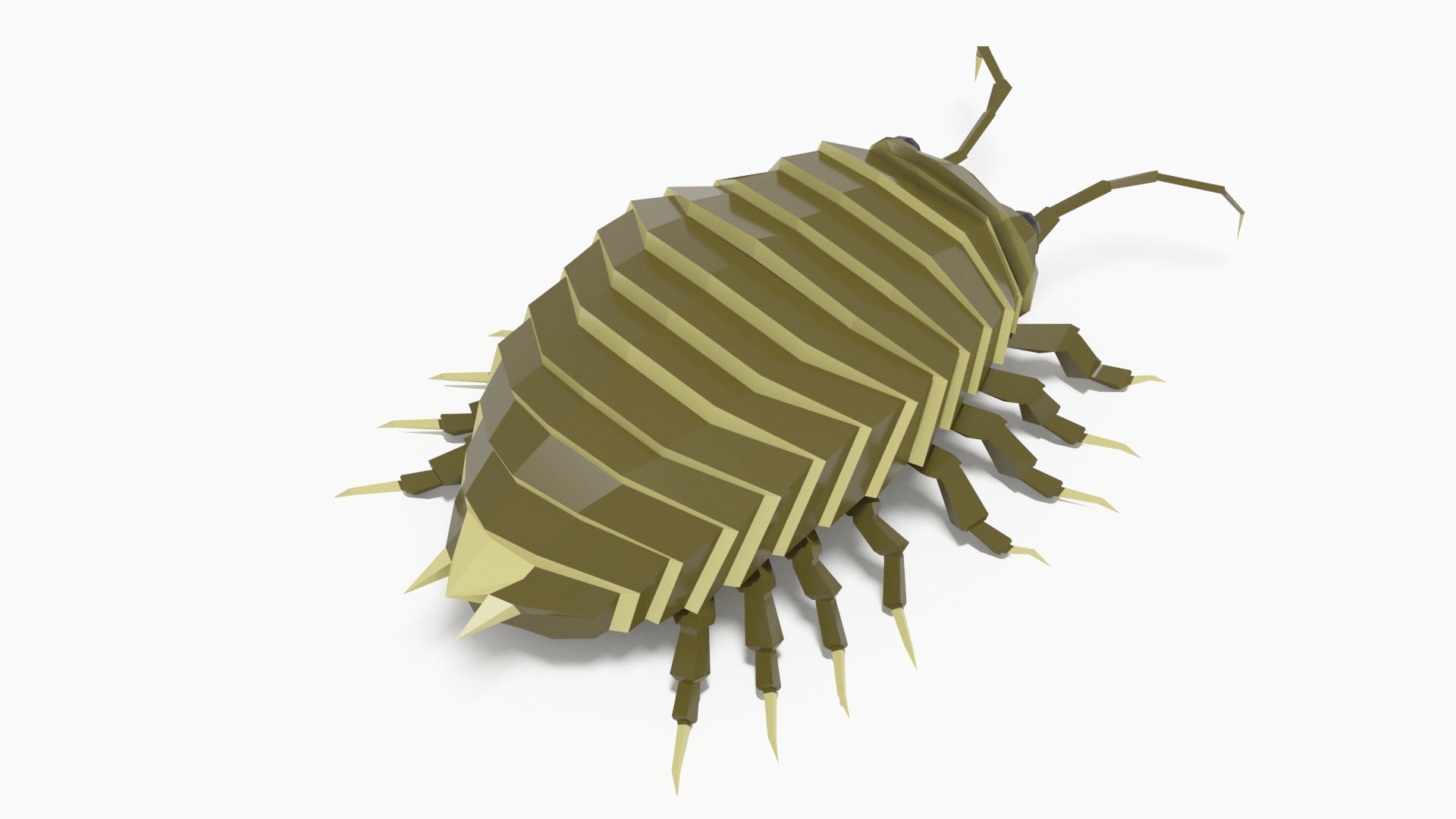 Bug low poly by coc3d | 3DOcean