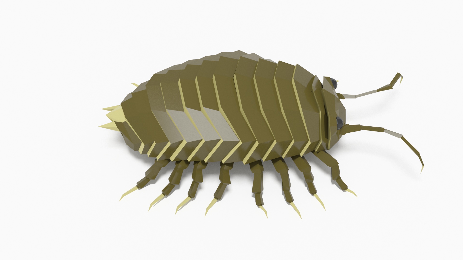 Bug low poly by coc3d | 3DOcean