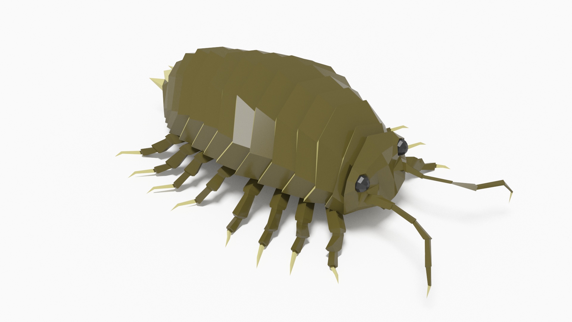 Bug low poly by coc3d | 3DOcean