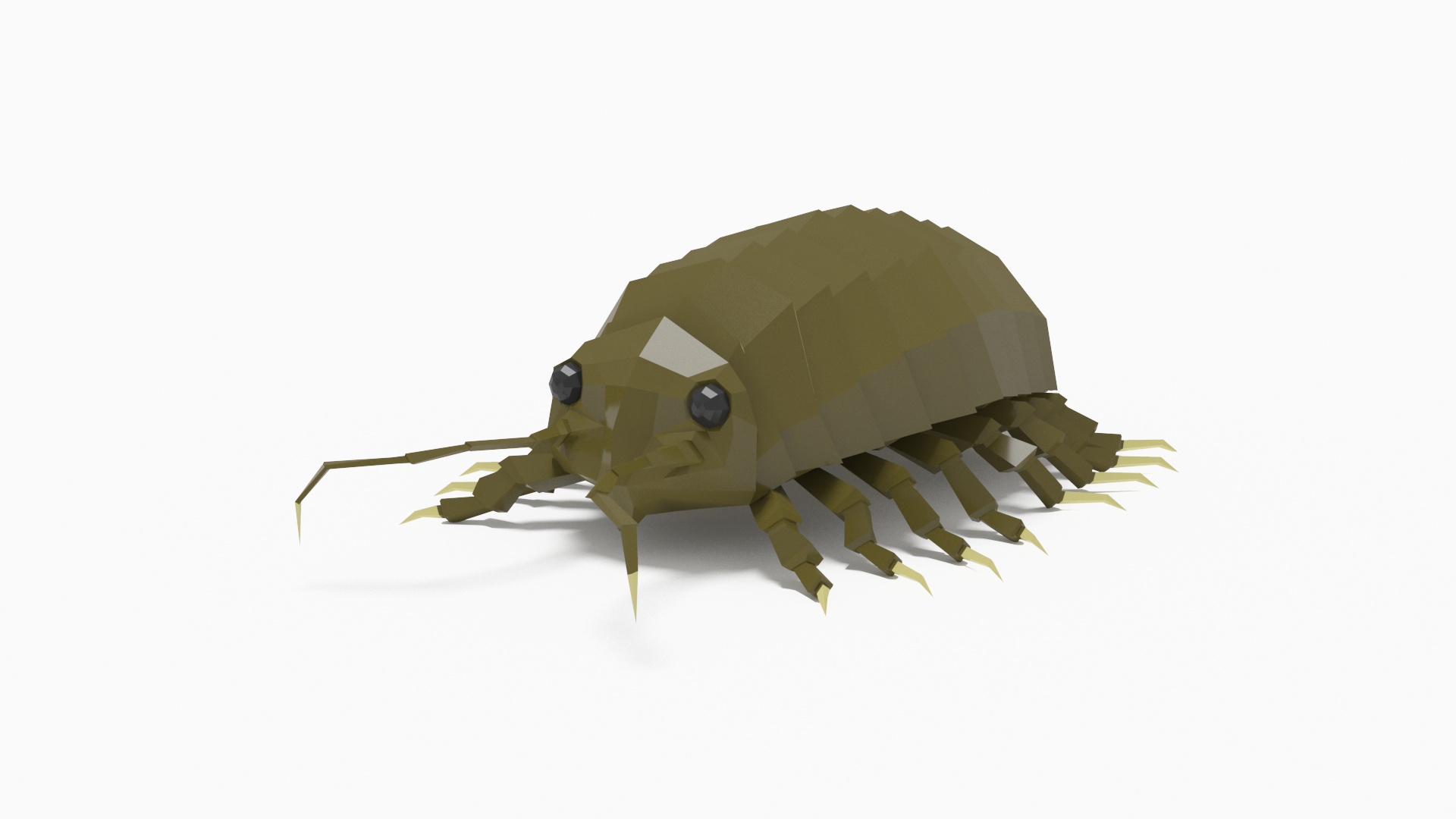 Bug low poly by coc3d | 3DOcean