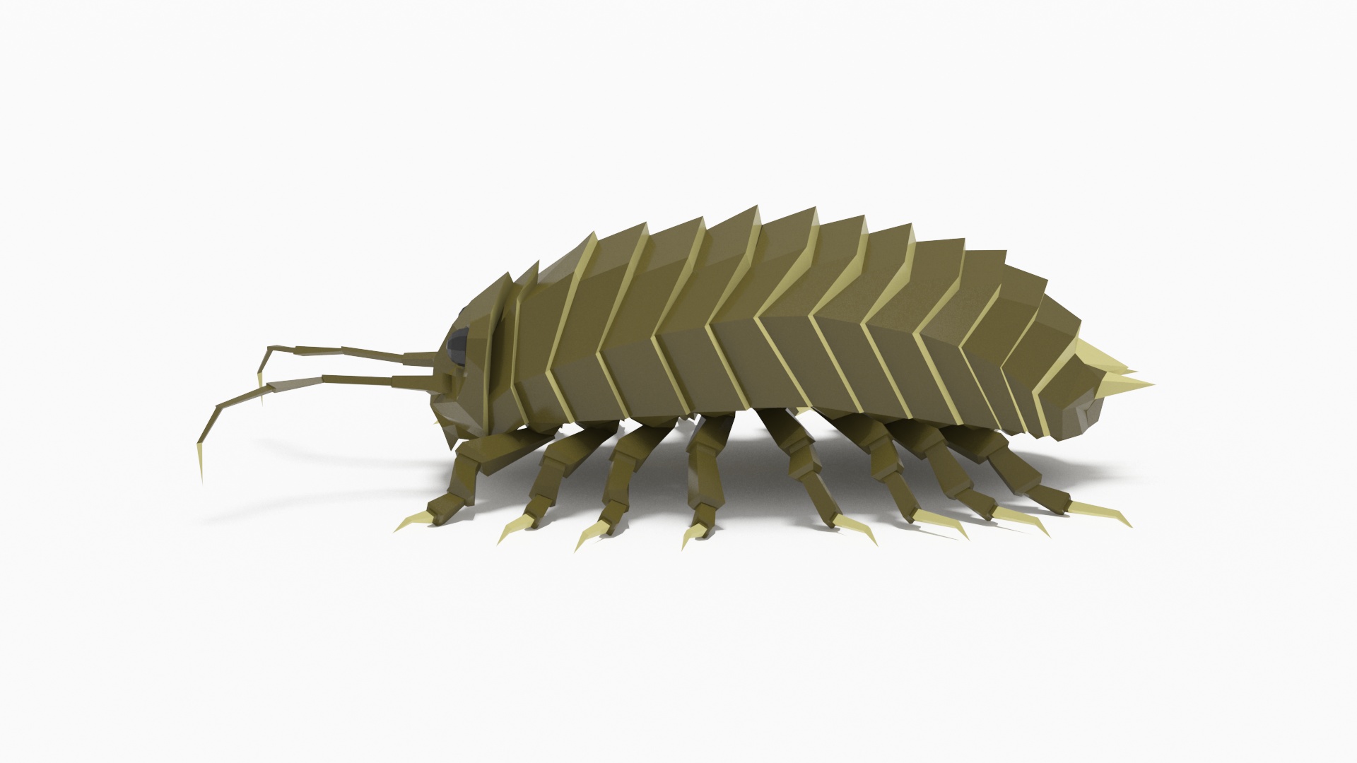 Bug low poly by coc3d | 3DOcean