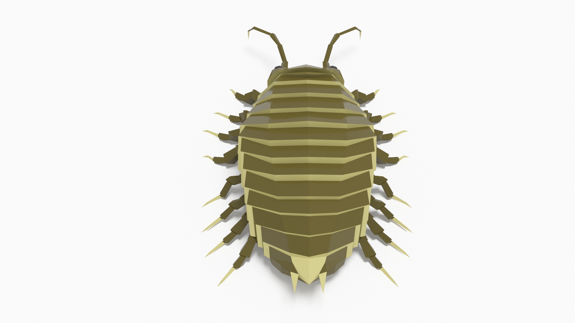 Bug low poly by coc3d | 3DOcean