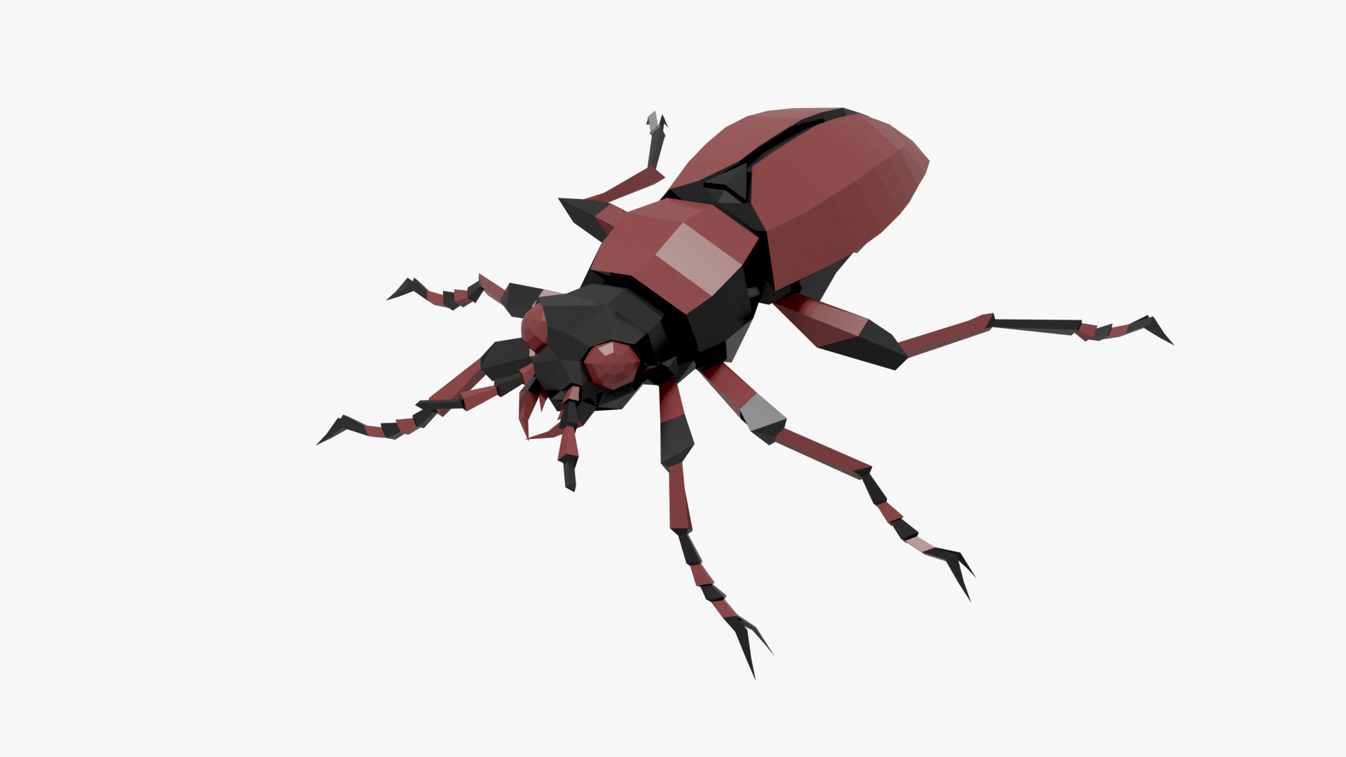 Bug low poly by coc3d | 3DOcean