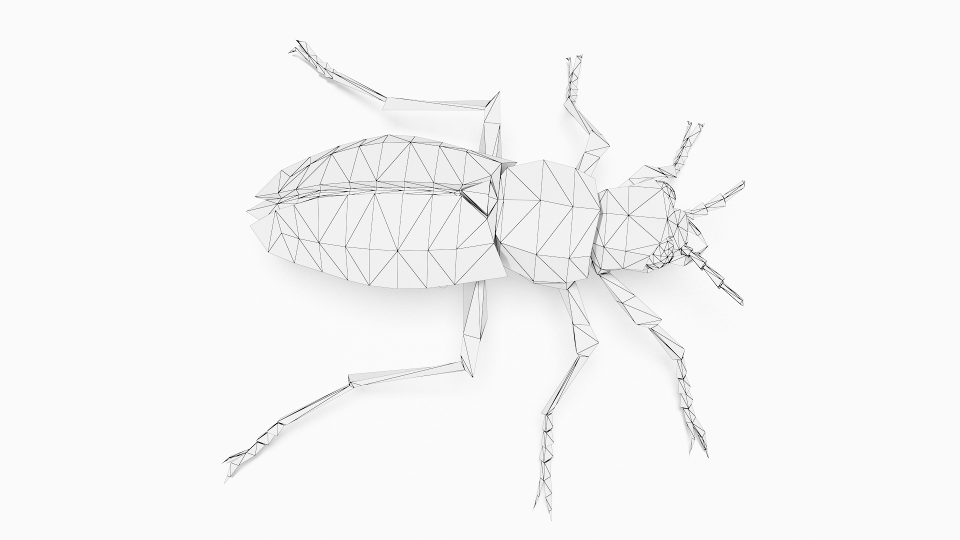 Bug low poly by coc3d | 3DOcean