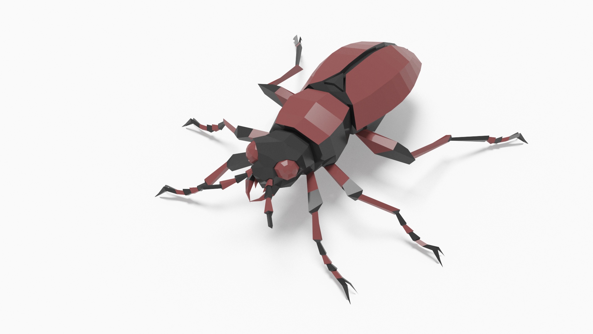 Bug low poly by coc3d | 3DOcean