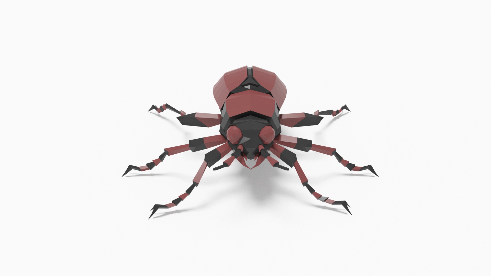 Bug low poly by coc3d | 3DOcean