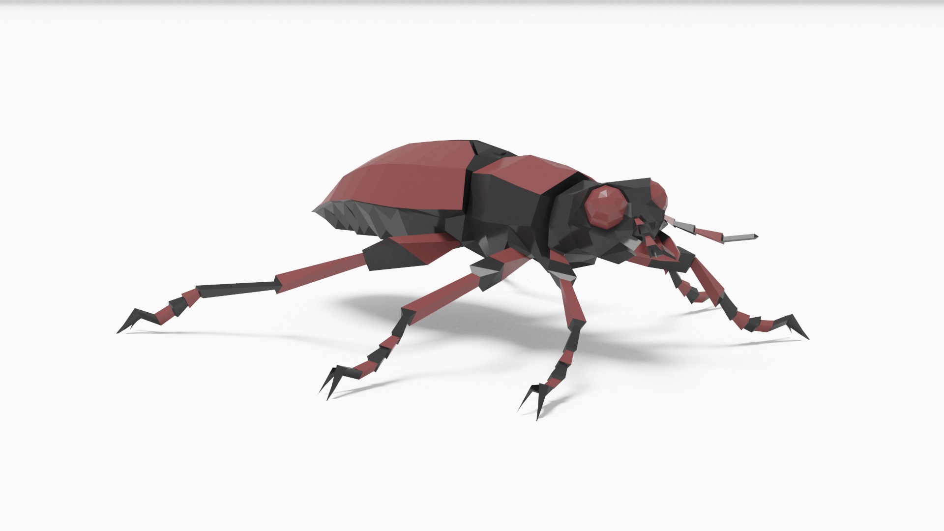 Bug low poly by coc3d | 3DOcean