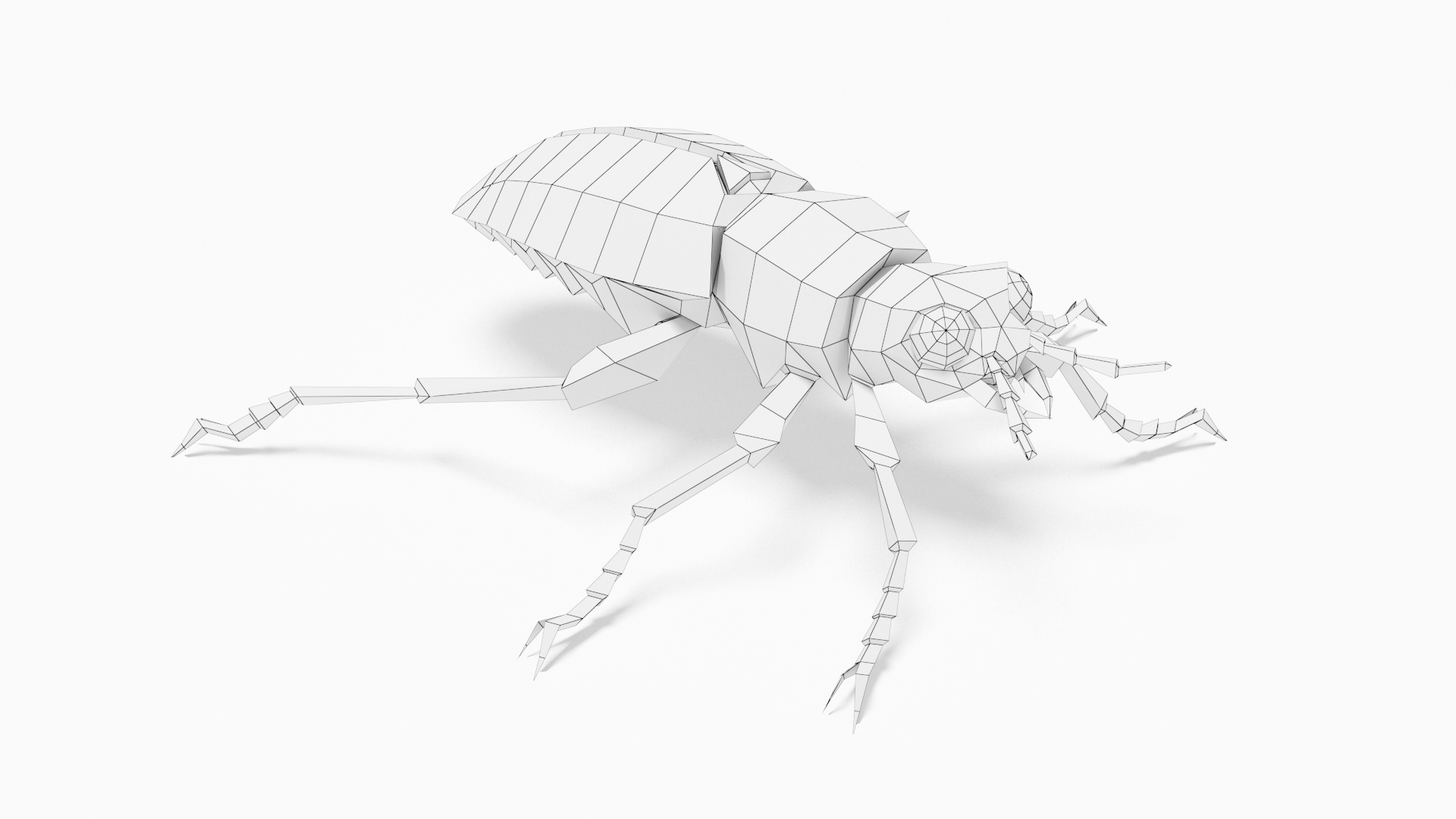 Bug low poly by coc3d | 3DOcean