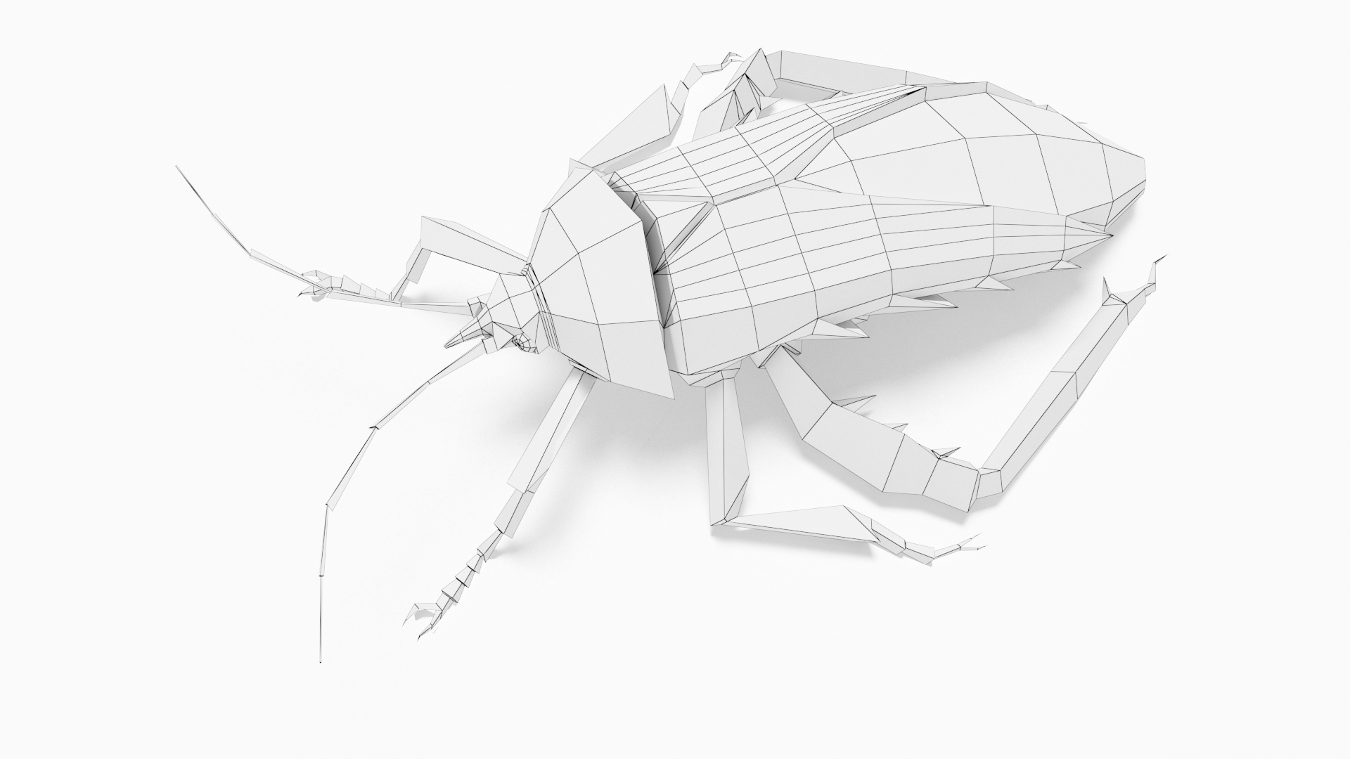 Bug low poly by coc3d | 3DOcean
