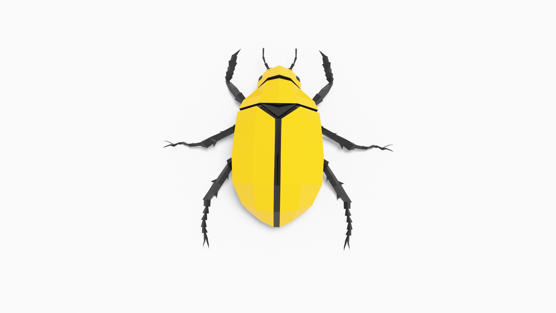 Bug low poly by coc3d | 3DOcean