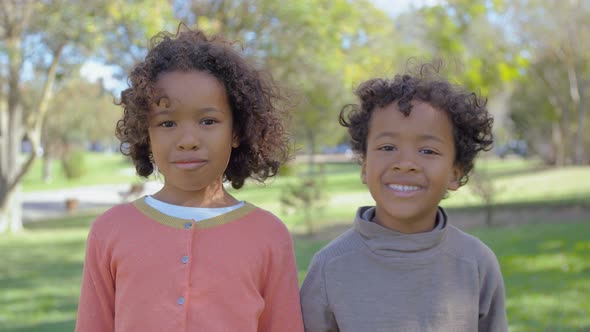 Cheerful African American Brother and Sister in Park. , Stock Footage