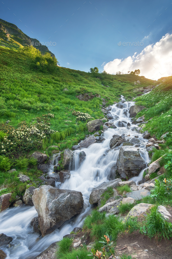 Spring rill flow in mountain. Stock Photo by rozum | PhotoDune