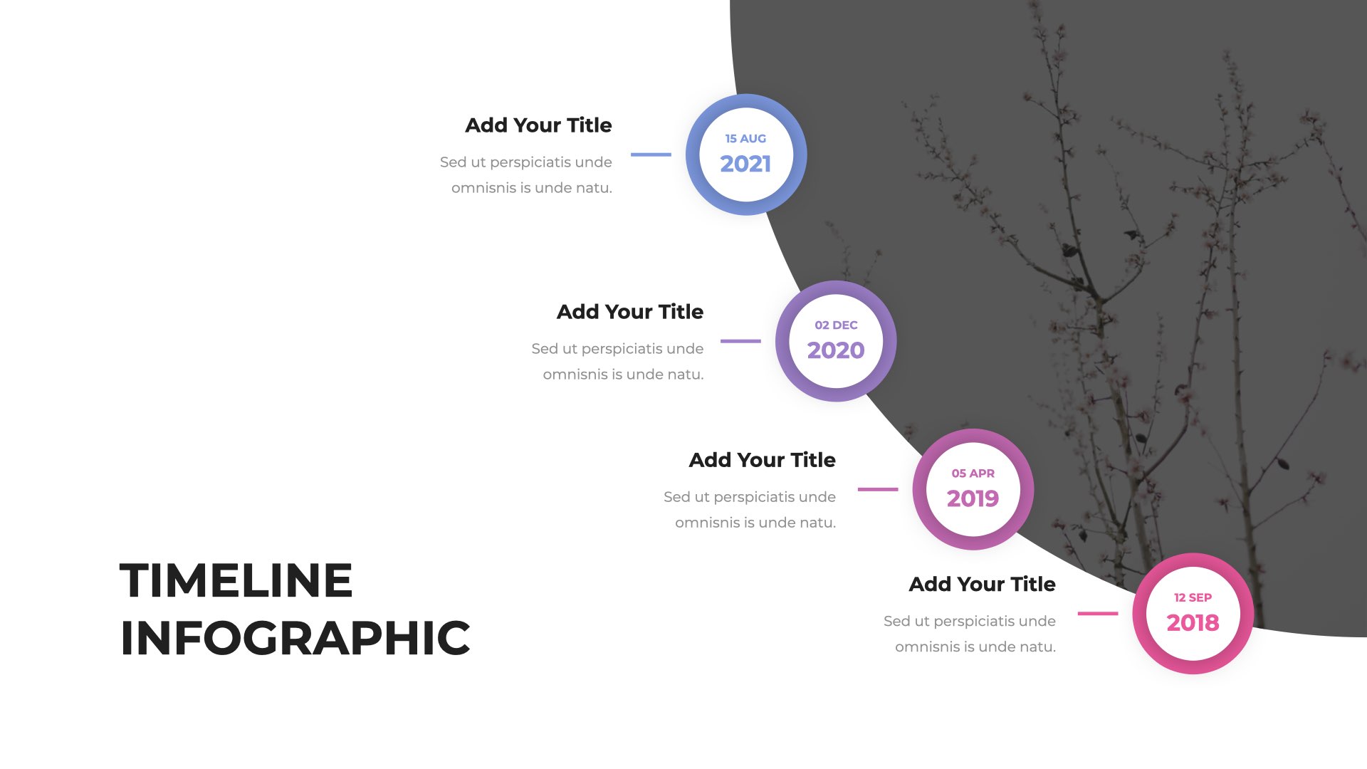 Project Timeline Infographic Keynote Slides Library, Presentation Templates