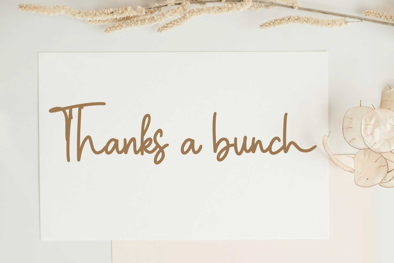 Beauty Marsella, Fonts | GraphicRiver