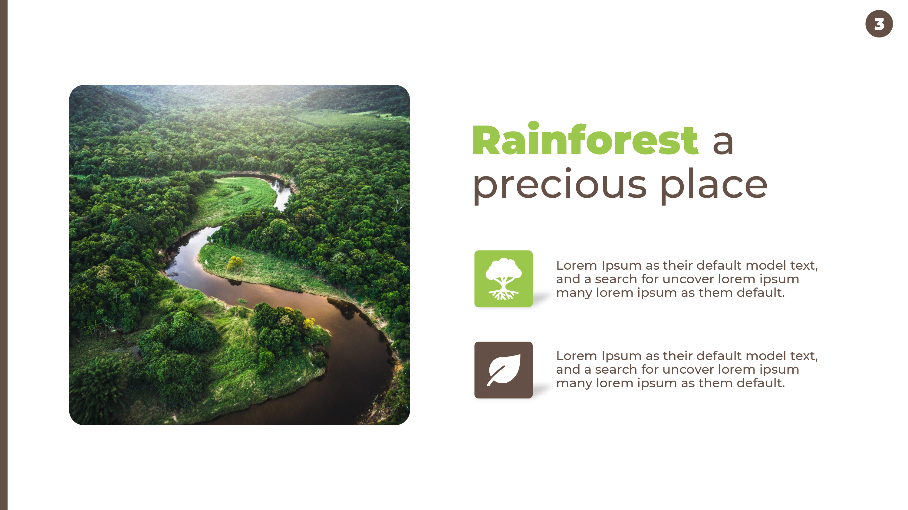 NATURE RAINFOREST TEMPLATE, Presentation Templates | GraphicRiver