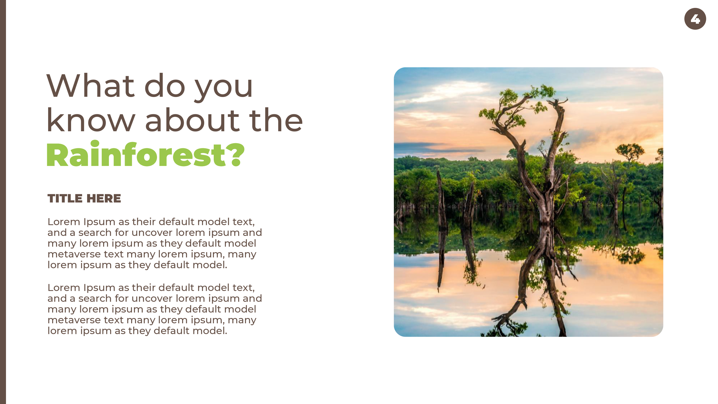 NATURE RAINFOREST TEMPLATE, Presentation Templates | GraphicRiver