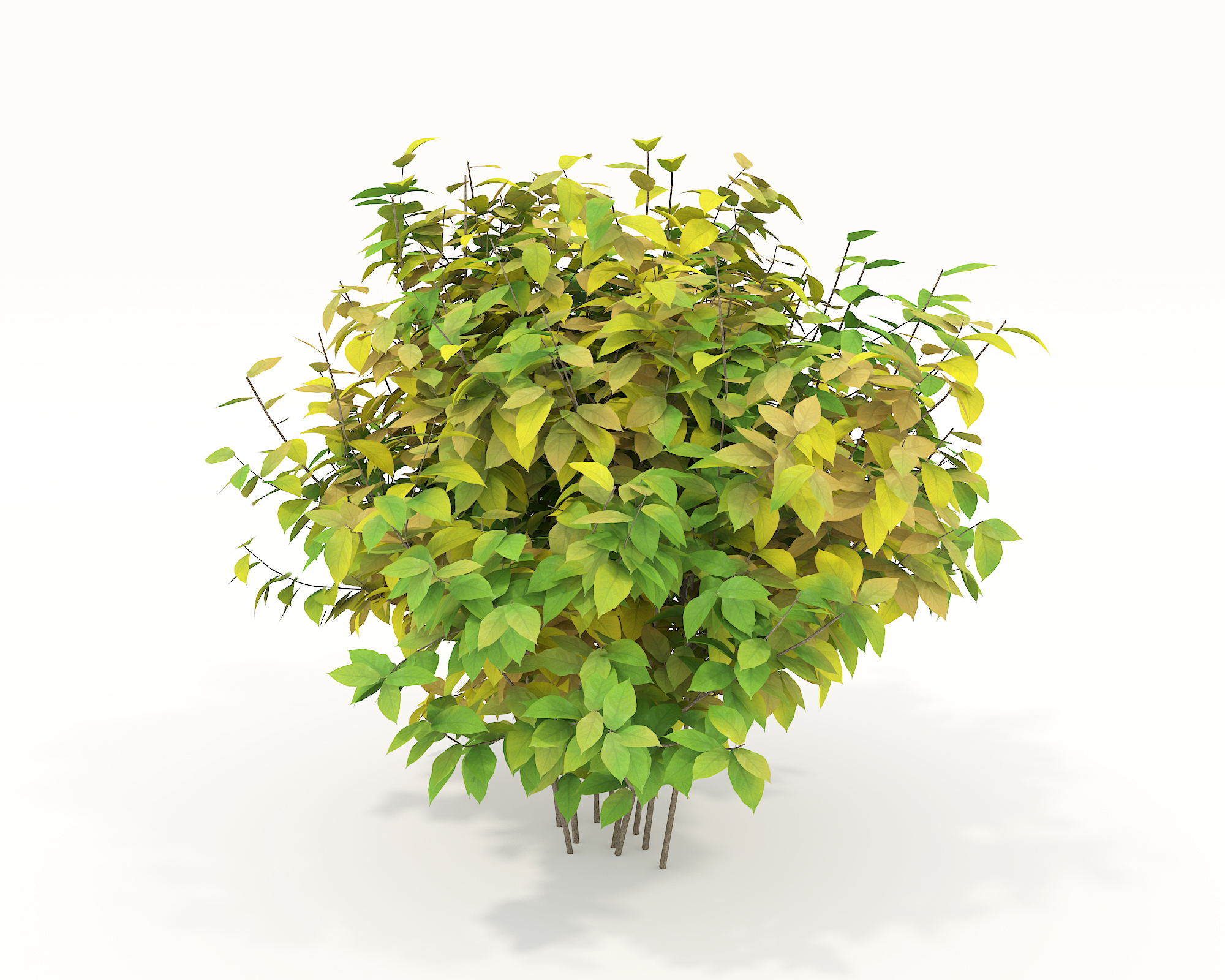 Realistic Shrub Bush Set 3 by nhattuankts | 3DOcean