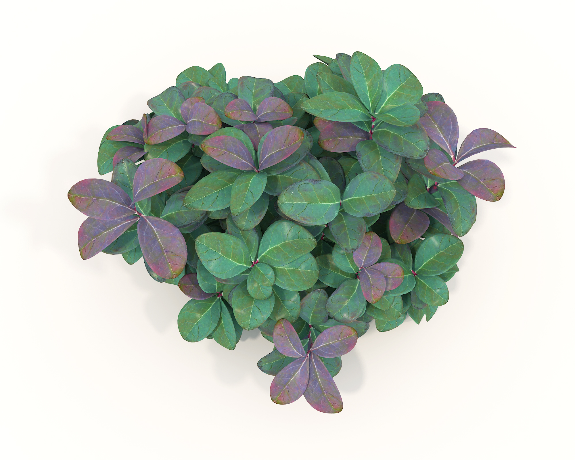 Realistic Shrub Bush Set 3 by nhattuankts | 3DOcean