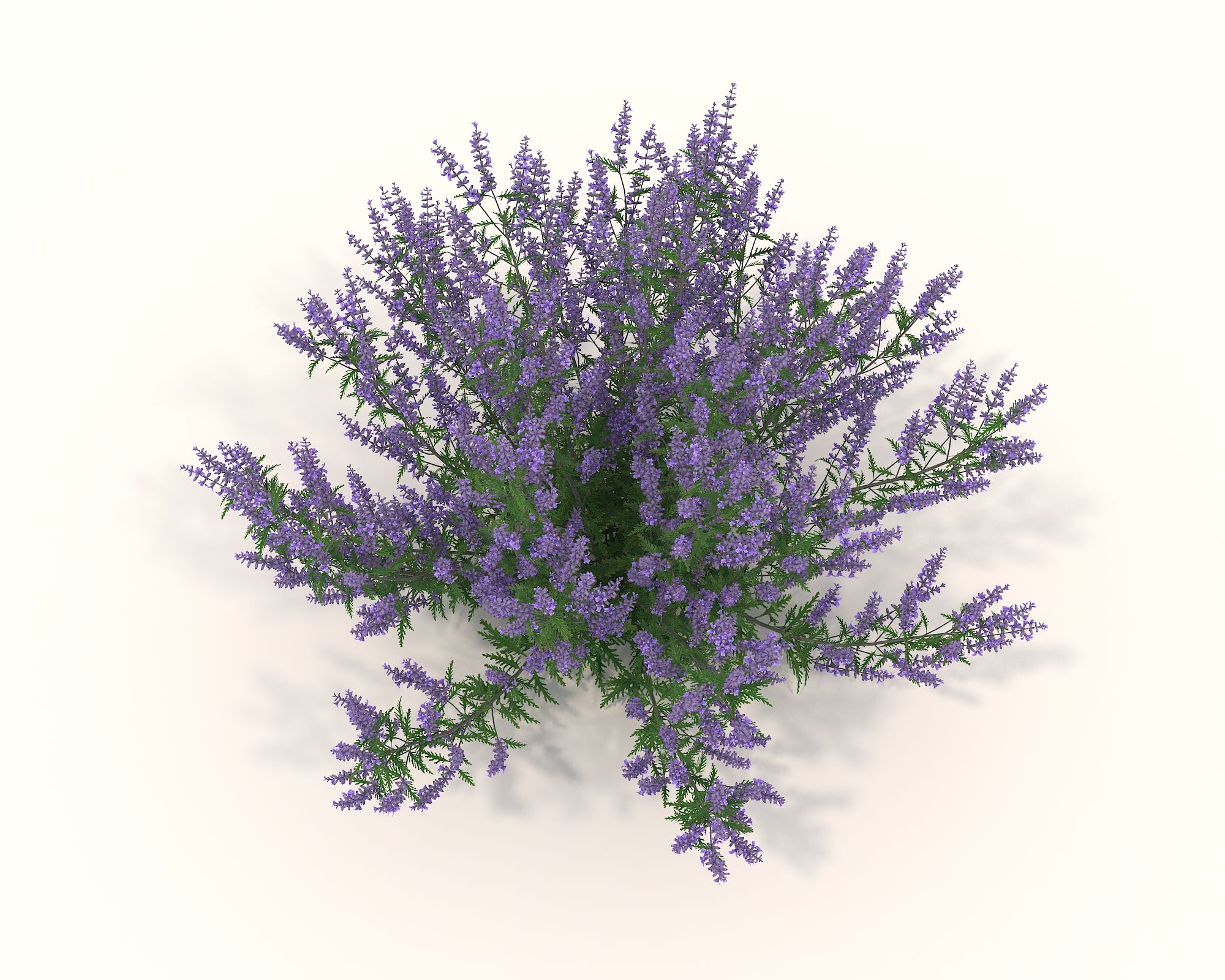 Realistic Shrub Bush Set 3 by nhattuankts | 3DOcean