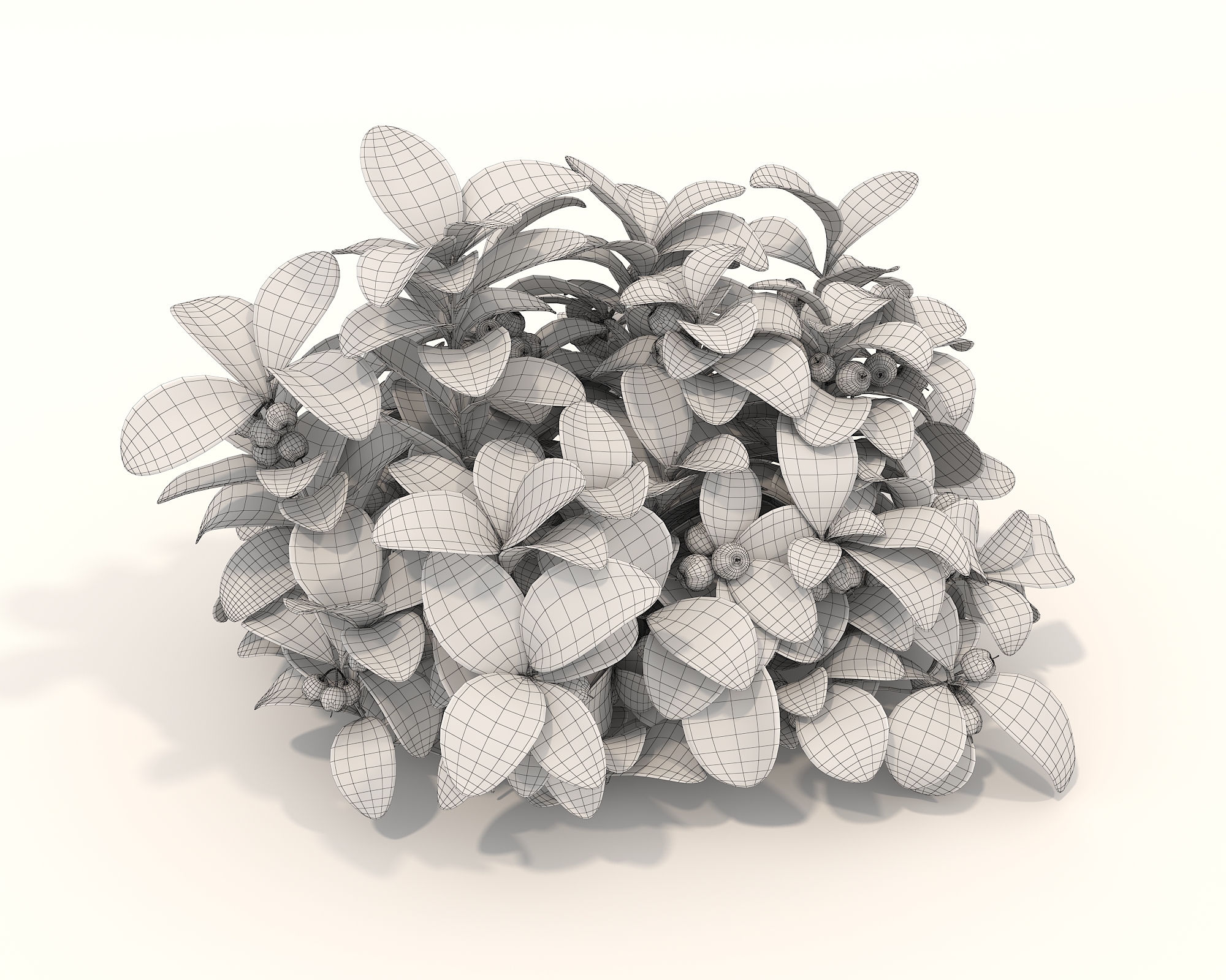 Realistic Shrub Bush Set 3 by nhattuankts | 3DOcean