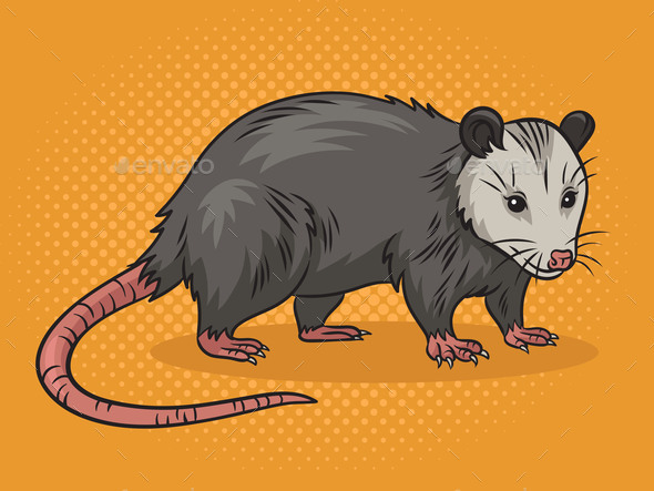 Opossum Clipart