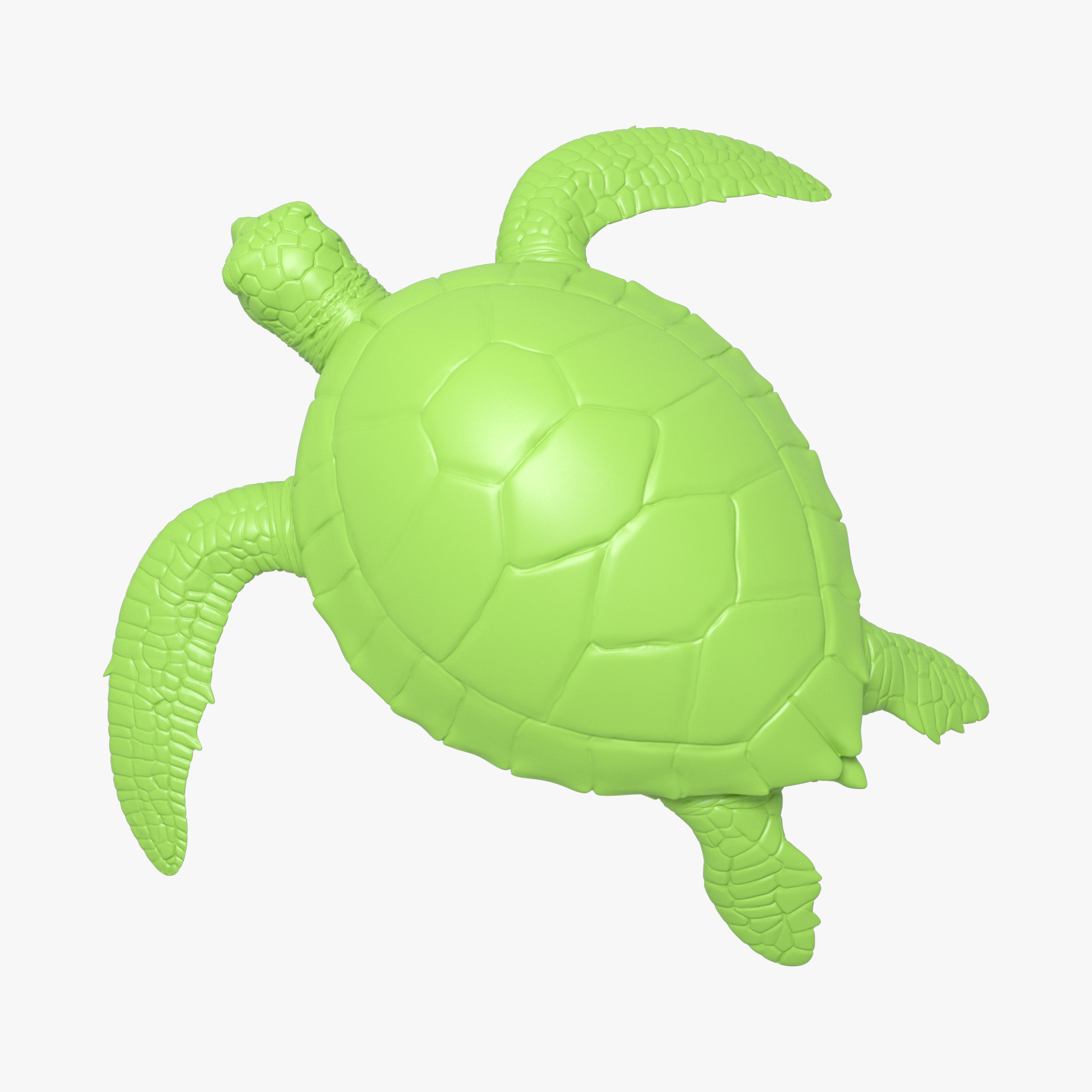 Turtle print 3D by cocartteam | 3DOcean