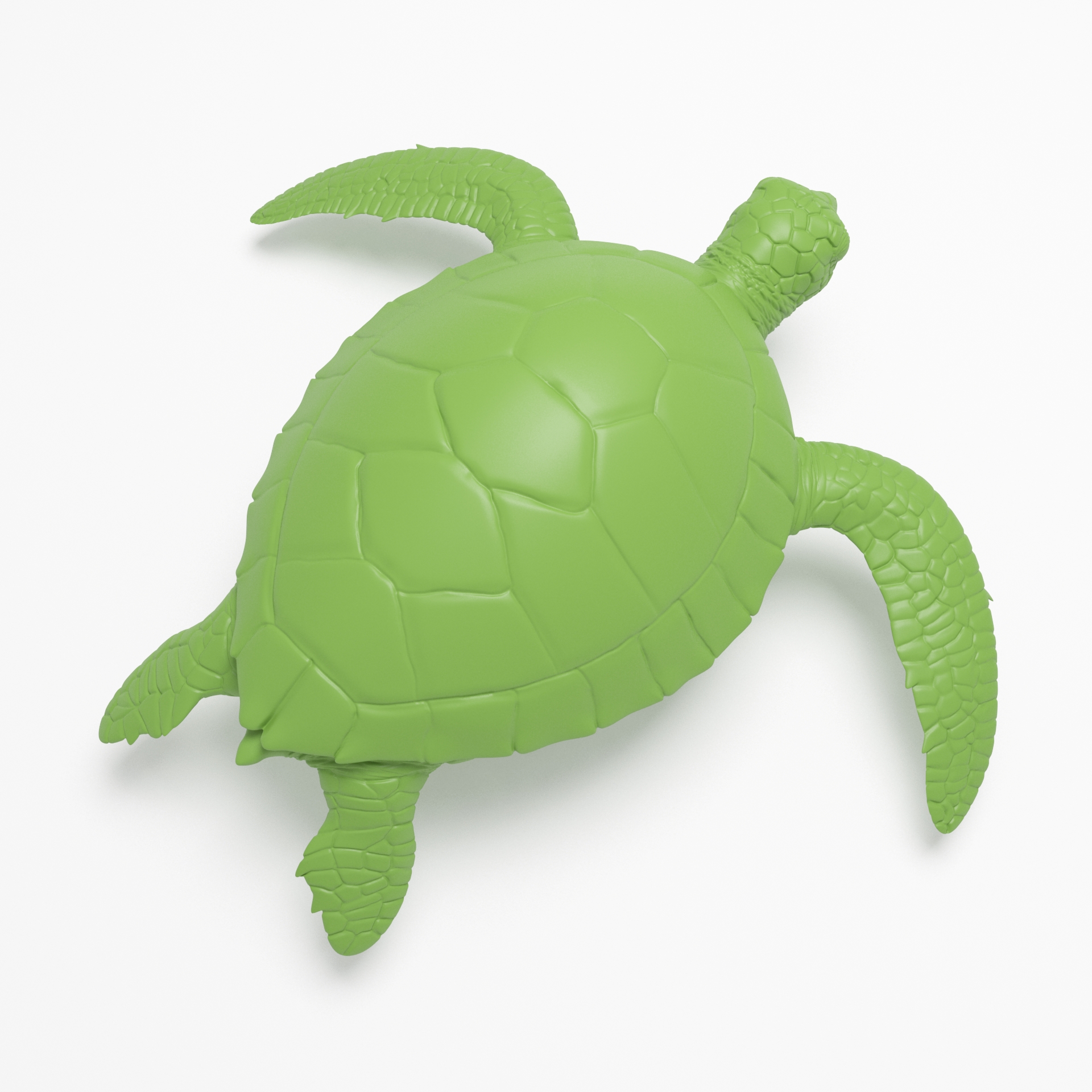 Turtle print 3D by cocartteam | 3DOcean