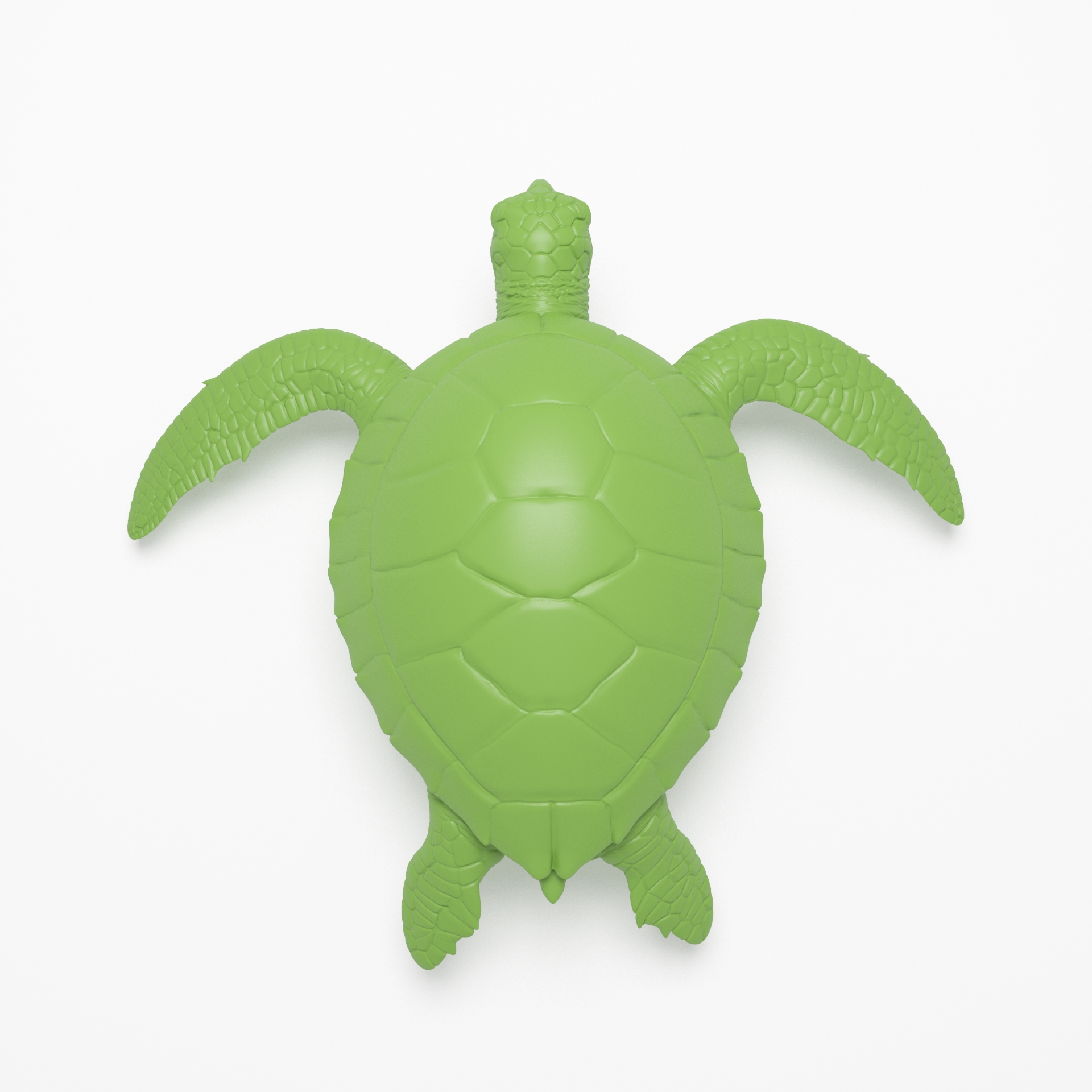Turtle print 3D by cocartteam | 3DOcean