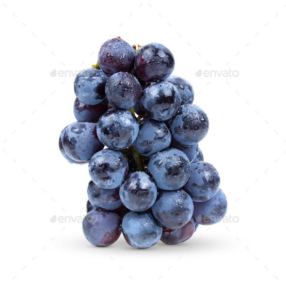 blue grape isolated on white Stock Photo by spamas | PhotoDune