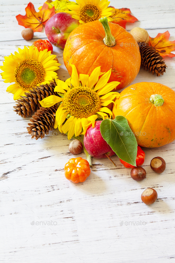 Autumn, fall, Thanksgiving concept. Pumpkins, sunflowers, apples and ...