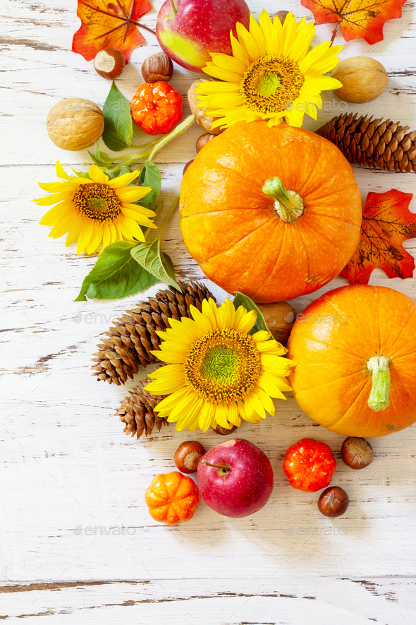 Autumn, fall, Thanksgiving concept. Pumpkins, sunflowers, apples and ...