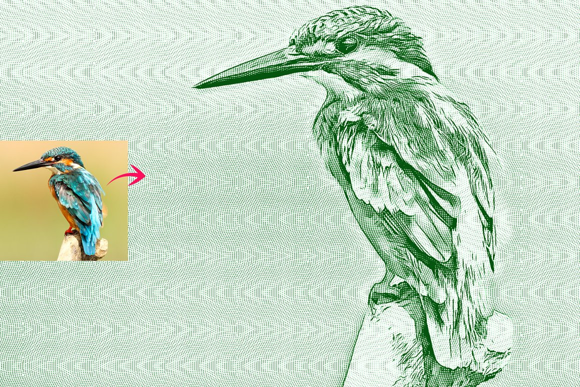 Vintage Antique Line Art Illustration, Add-ons | GraphicRiver