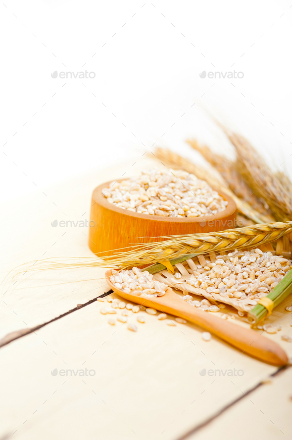 organic barley grains Stock Photo by keko64 | PhotoDune