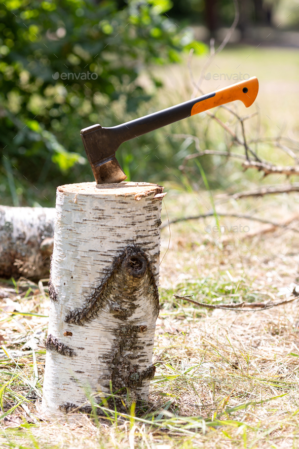 An axe stuck in a log Stock Photo by natalya_ugr | PhotoDune