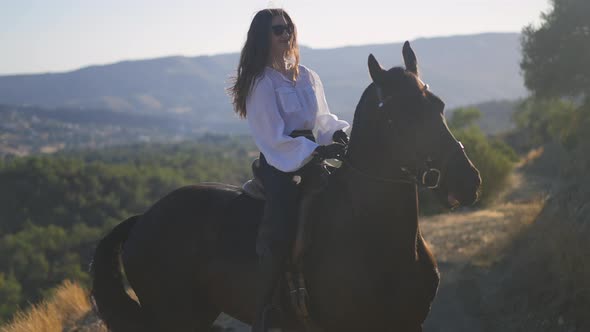 Side View Portrait of Happy Young Woman Riding Graceful Horse in ...