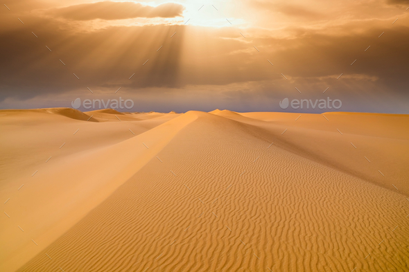 Sunset over the sand dunes in the desert. Arid landscape of the Sahara ...