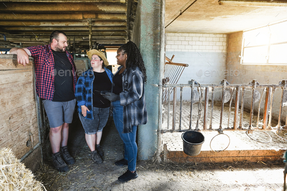 Young multiracial farmer people working together inside cowshed Stock ...