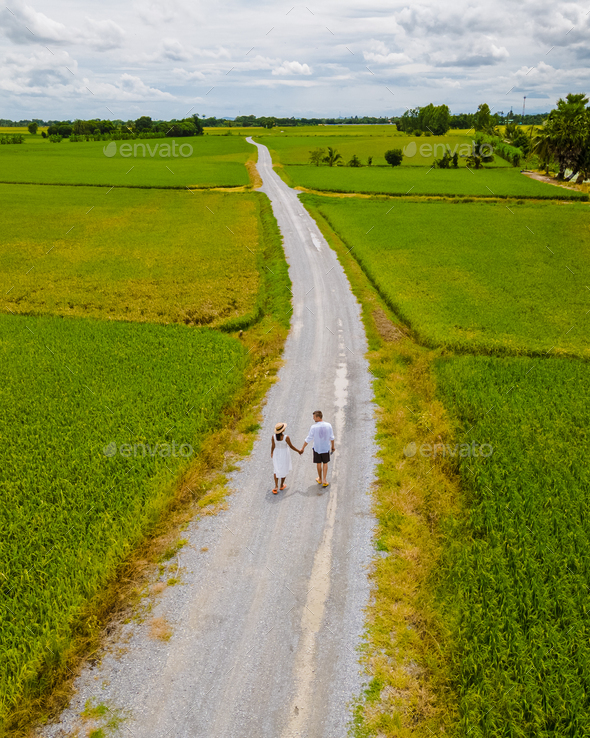 Drone aerial view of green paddy rice field in Thailand, men and woman ...