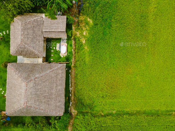 Eco farm homestay with a rice field in central Thailand, paddy field of ...
