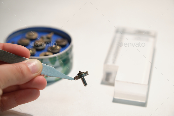 Scientific hand holding a tweezers with a scanning electron microscope ...