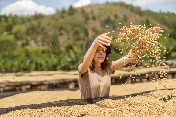 Pretty young lady throwing coffee beans up outdoors at farm Stock Photo ...