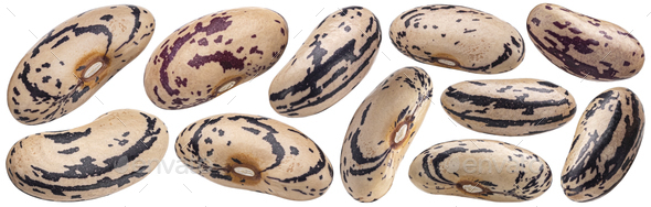 Black and white speckled beans isolated on white background Stock Photo ...