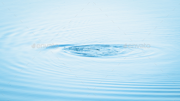 Bird diving in the lake water surface creates a water ripples effect ...