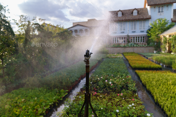 Modern watering system with long hose sprays fresh water on plants ...