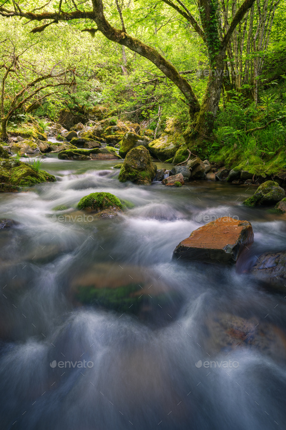 Varied rocks in the current of a river next to deciduous forests Stock ...
