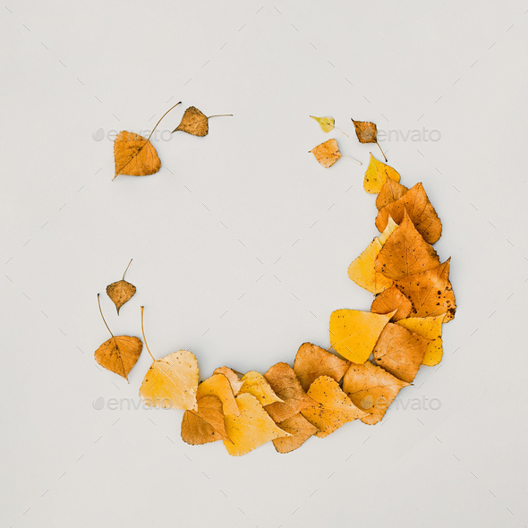 Round frame made of autumn leaves, leaf fall swirls around Stock Photo ...